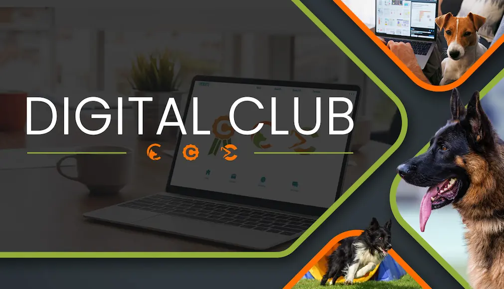 Digital Club - Die Zukunft Deines Hundevereins